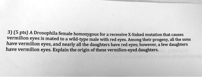 3 5 pts a drosophila female homozygous for recessive x linked mutation ...