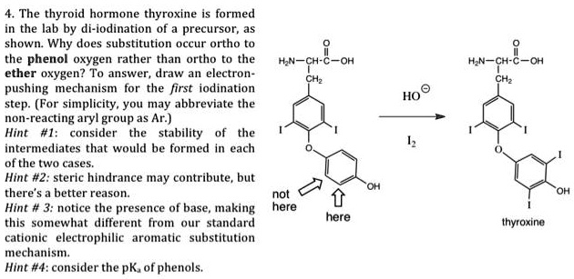 SOLVED: The thyroid hormone thyroxine is formed in the lab by di ...