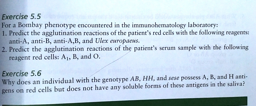 SOLVED: Exercise 5.5: For a Bombay phenotype encountered in the ...