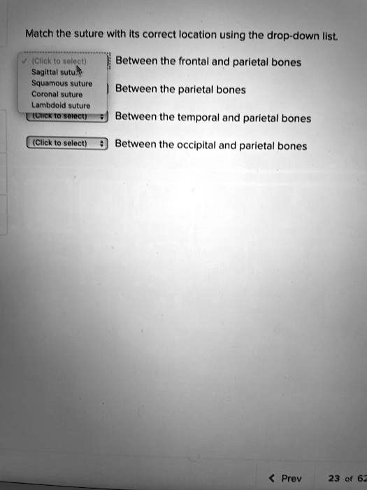 Match the suture with its correct location using the drop-down list ...