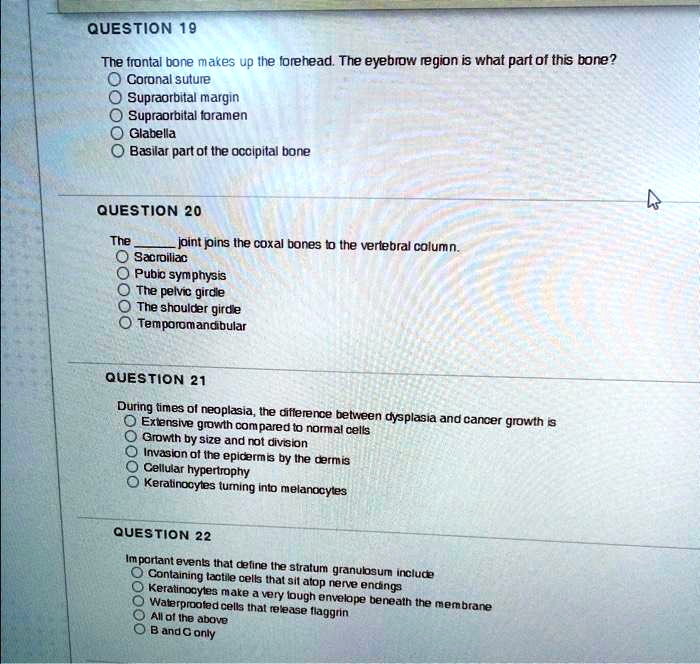 question 19 coronal suture o supraorbital margin o supraorbital foramen oglabella basilar part ...