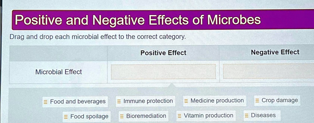 Positive and Negative Effects of Microbes Drag and drop each microbial ...