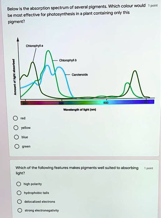 What Is Meant By The Absorption Spectrum Of A Pigment
