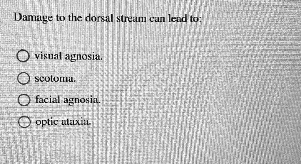 damage to the dorsal stream can lead to visual agnosia scotoma facial ...