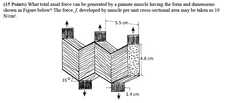 [GET ANSWER] 15 points what total axial force can be generated by a ...