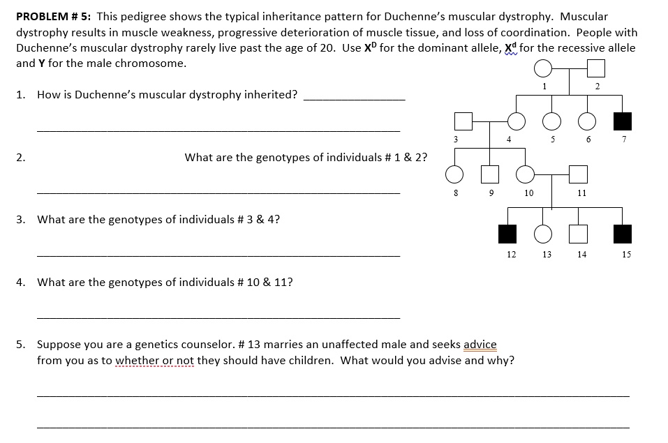 SOLVED: Problem #5: This pedigree shows the typical inheritance pattern ...