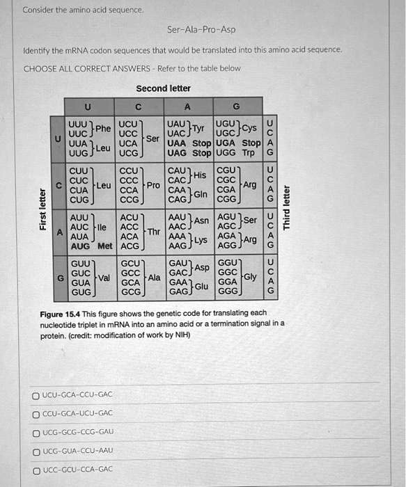 SOLVED: Consider the amino acid sequence: Ser-Ala-Pro-Asp Identify the ...