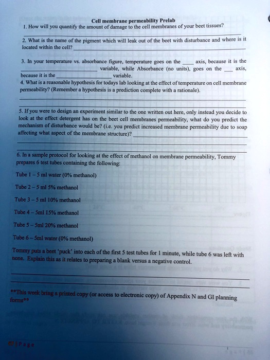 SOLVED: Cell membrane permeability: How will you quantify the amount and determine the cell ...