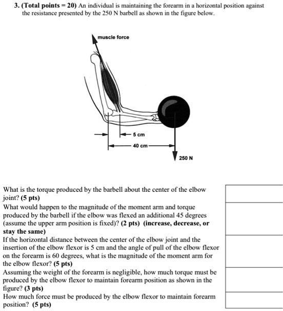 SOLVED: 3. (Total points 20) An individual is maintaining the forearm horizontal position ...