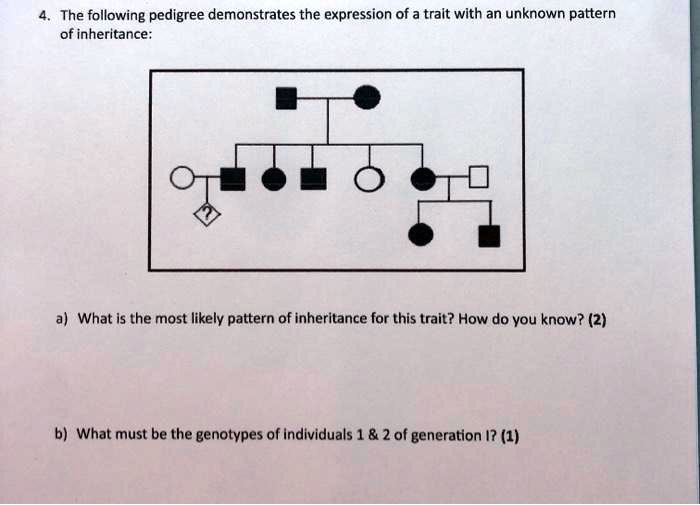 SOLVED: The following pedigree demonstrates the expression of trait ...