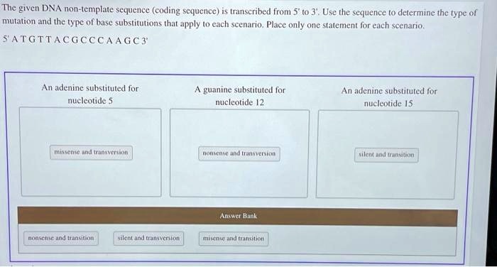 Solved Please Help The Given Dna Non Template Sequence Coding Sequence Is Transcribed From 5