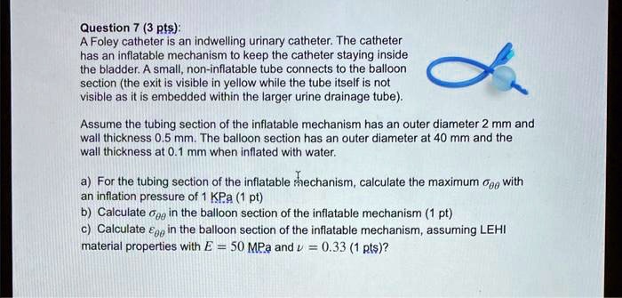 SOLVED: Question 7 (3 pts): A Foley catheter is an indwelling urinary ...