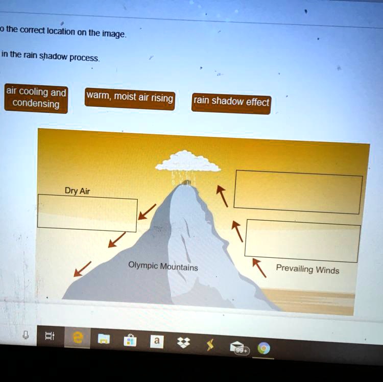 SOLVED: 'Drag each label to the correct location on the image Identify ...