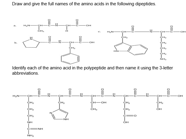 SOLVED: Draw and give the full names of the amino acids in the ...