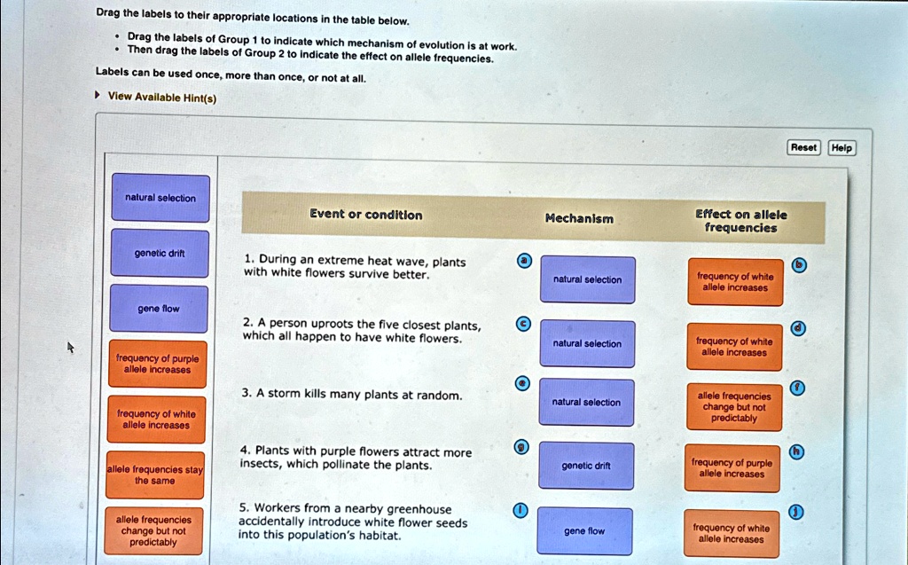SOLVED: Drag the labels to their appropriate locations in the table ...