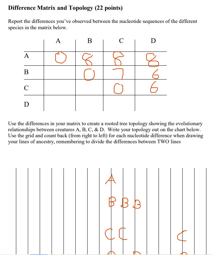 SOLVED: Difference Matrix and Topology (22 points) Report the ...