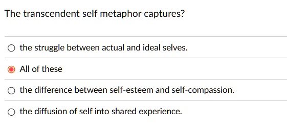 the transcendent self metaphor captures the struggle between actual and ...