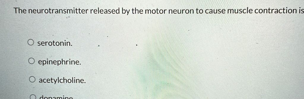 the neurotransmitter released by the motor neuron to cause muscle ...