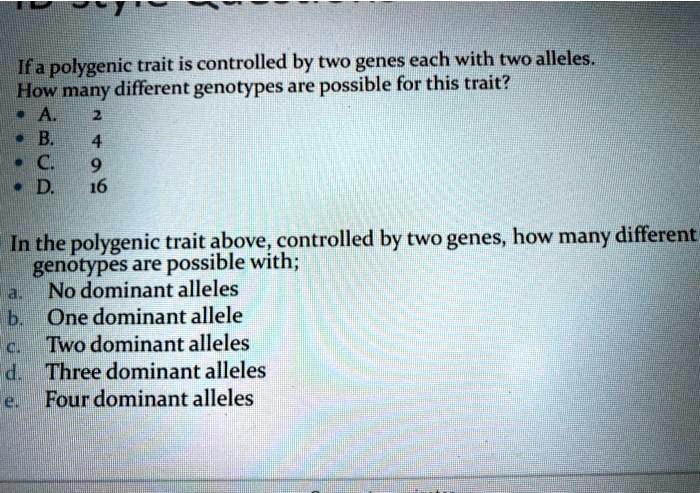 SOLVED: Ifa polygenic trait is controlled by two genes each with two ...