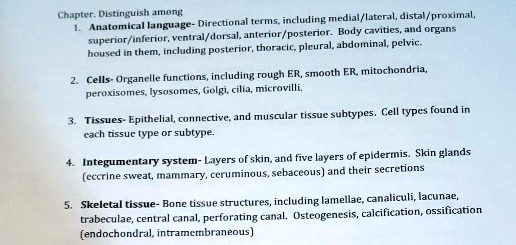 SOLVED:Chapter: Distinguish among Anatomical language- Directional ...