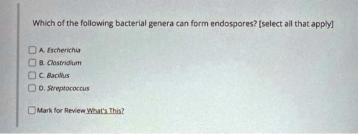 SOLVED: Which of the following bacterial genera can form endospores? [select all that apply ...