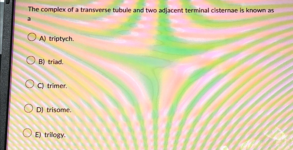 The complex of a transverse tubule and two adjacent terminal cisternae ...