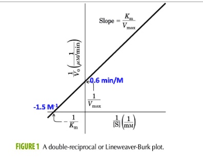 SOLVED: From the following Lineweaver-Burk graph, calculate the value ...
