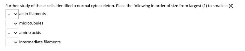 Further study of these cells identified normal cytoskeleton...
