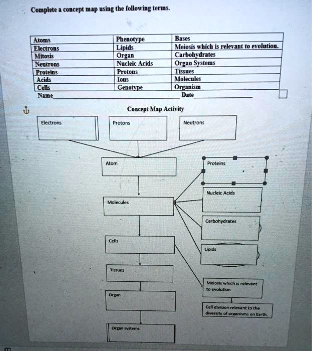 complete concept map using the following terms atoms learous itosis ...