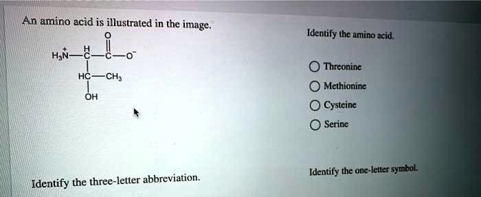 SOLVED: An amino acid is illustrated in the image. Identify the amino ...