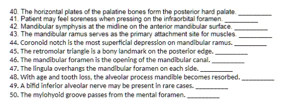 40. The horizontal plates of the palatine bones form the posterior hard ...