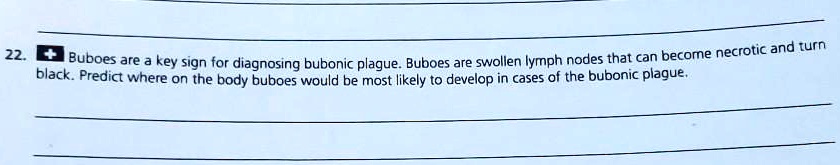 SOLVED: 22. Buboes are a key sign for diagnosing bubonic plague: Buboes ...