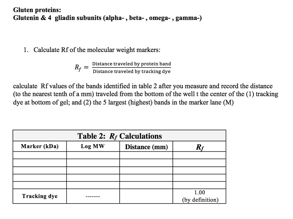 gluten proteins glutenin 4 gliadin subunits alpha beta omega gamma ...