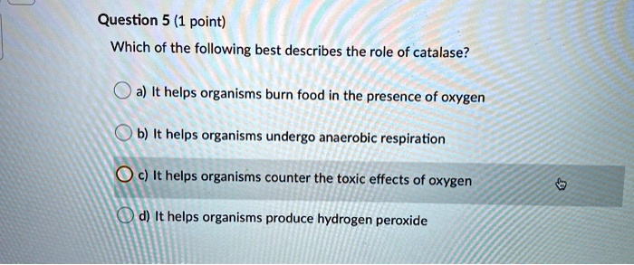 SOLVED: Question 5 (1 point) Which of the following best describes the ...