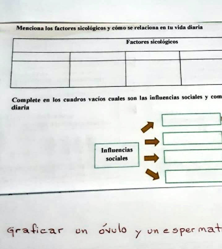 SOLVED: alguien me dice como hacer es para mañana Menciona los factores ...