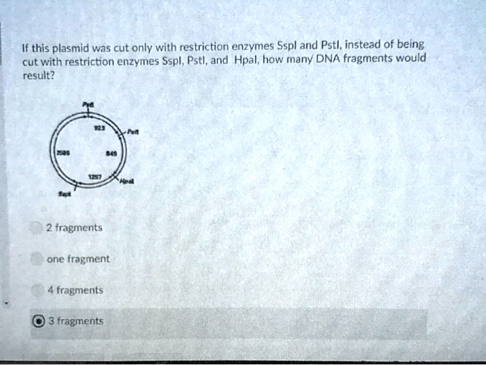 SOLVED: If this plasmid was cut only with restriction enzymes Sspl and Pstl, instead of being ...