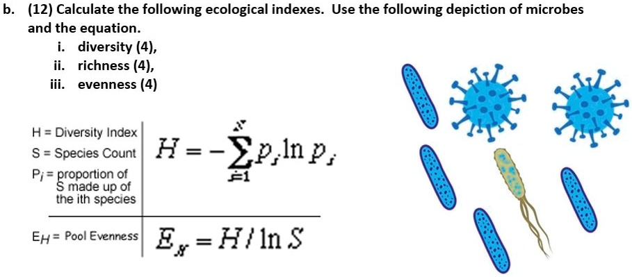Species Evenness Formula