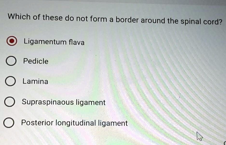 Which of these do not form a border around the spinal cord? Ligamentum ...