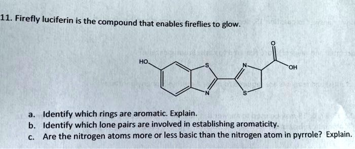 SOLVED: 11. Firefly luciferin is the compound that enables fireflies to ...
