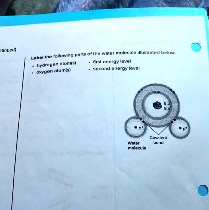 SOLVED: Please help me figure out how to do this (Continued) Parts of ...