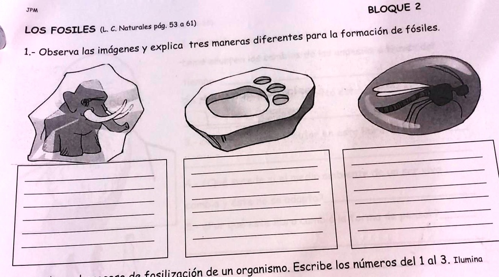 SOLVED: 1- Observe les imágenes y explica tres maneras diferentes para ...