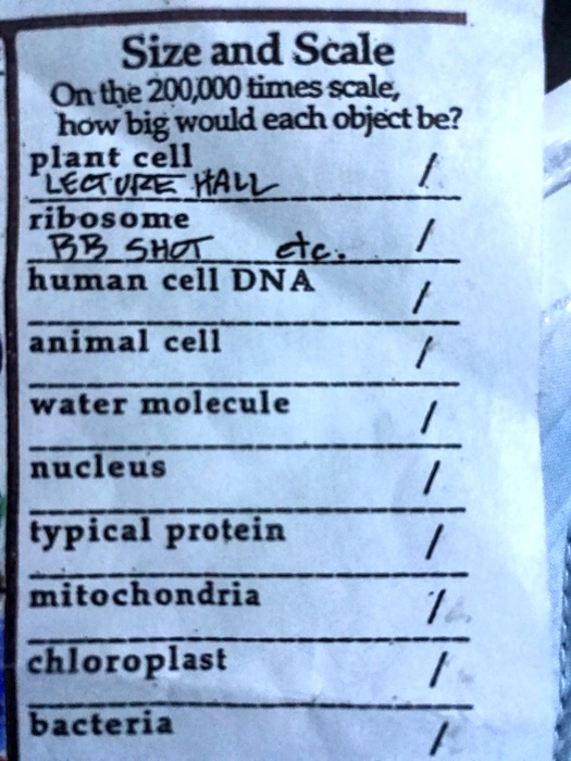 size and scale on the 200000 times scale how big would each objectbe ...