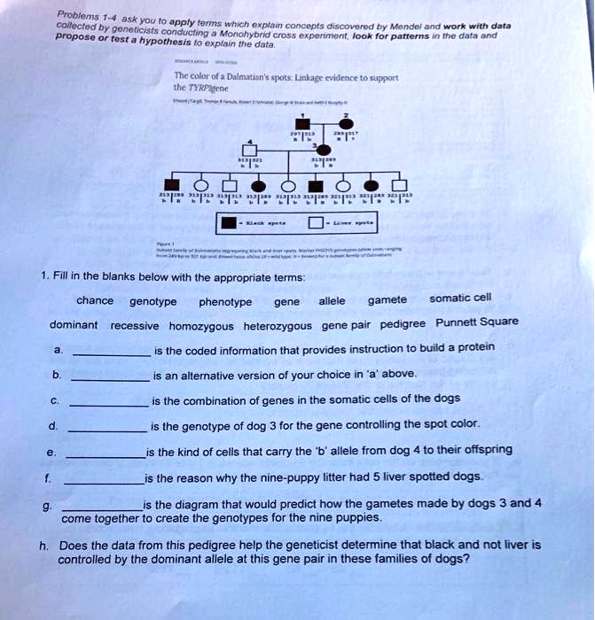 Problems 1-4 ask you to apply terms which explain concepts discovered by Mendel and work with ...