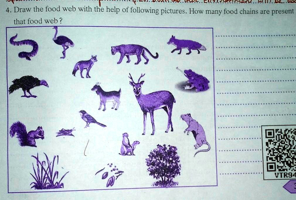 SOLVED: Draw the food web with the help of the following pictures. How many food chains are ...