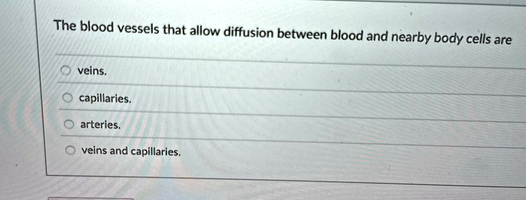 the blood vessels that allow diffusion between blood and nearby body ...