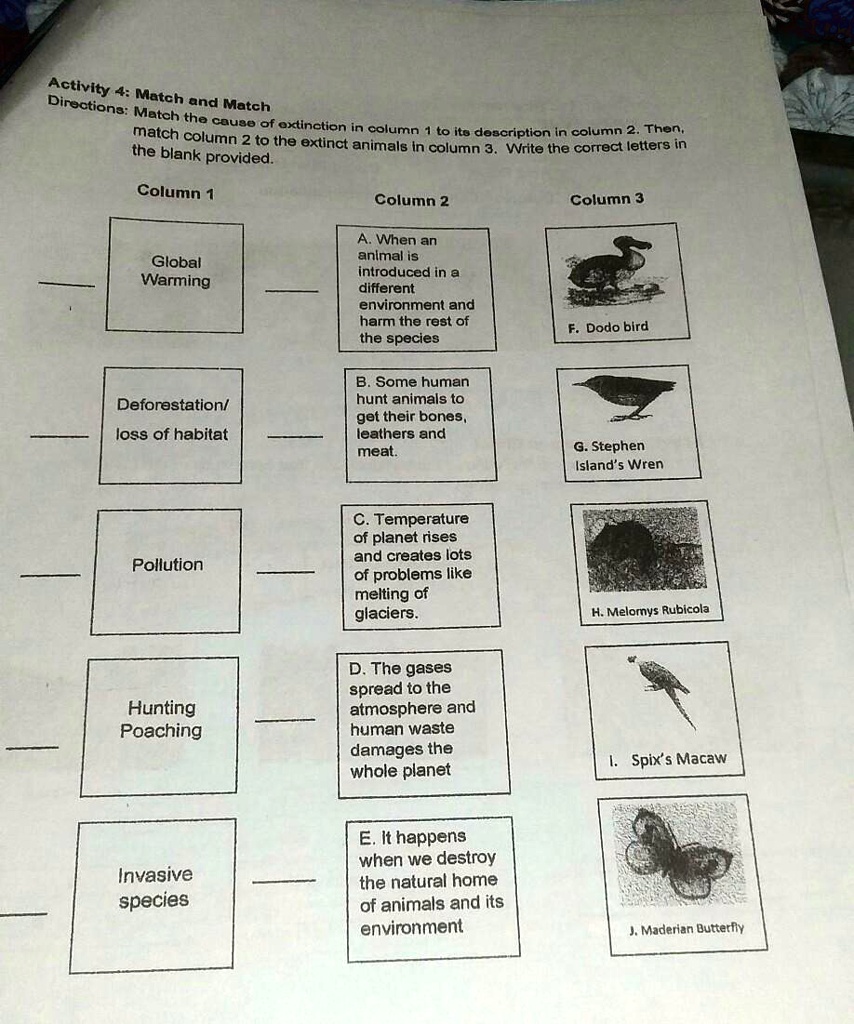 Activity 4: Match and Match Directions: Match the cause of extinction ...