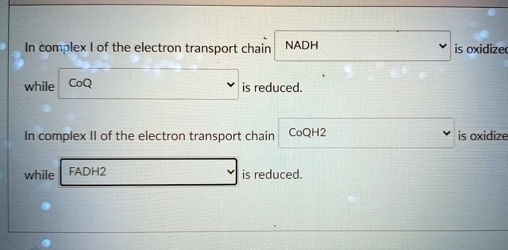 in complex of the electron transport chain nadh is oxidized while coq ...