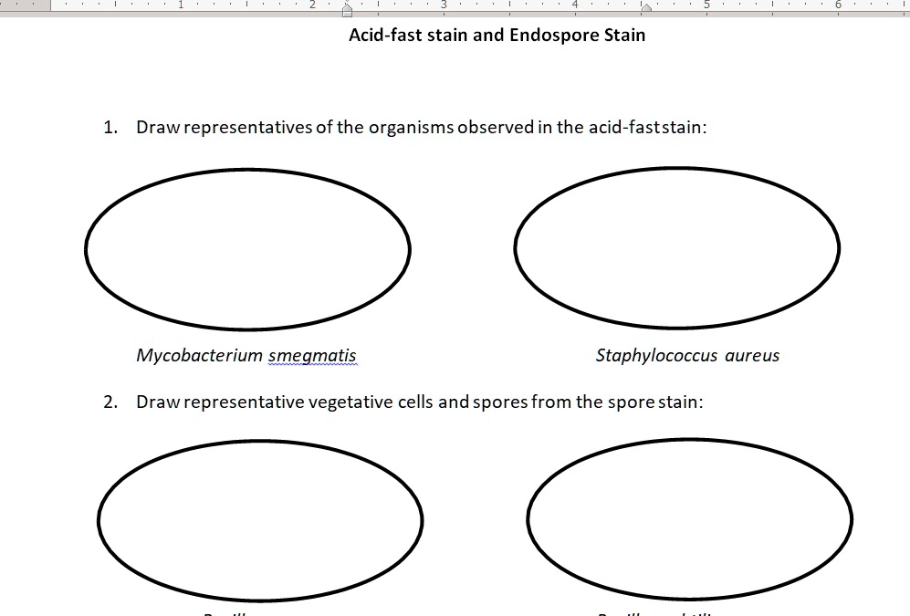Acid-fast stain and Endospore Stain 1. Draw representatives of the ...