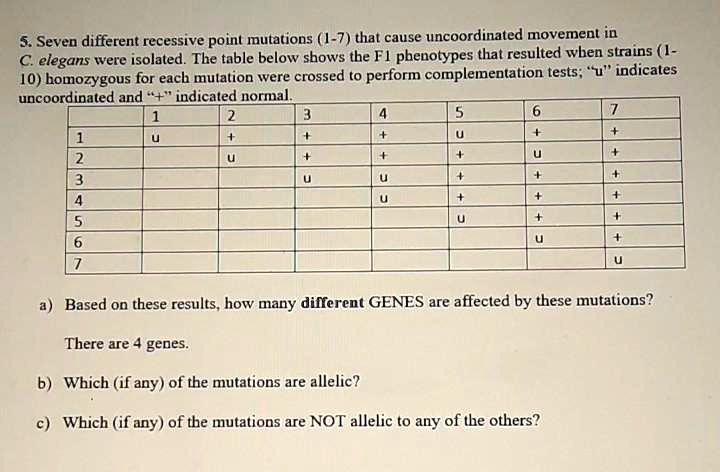 Solved S Seven Different Recessive Point Mutations [ 7 That