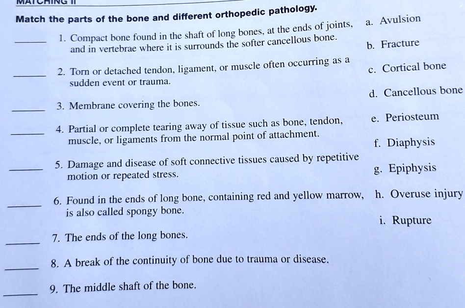 Match the parts of the bone and different orthopedic pathology. Compact ...